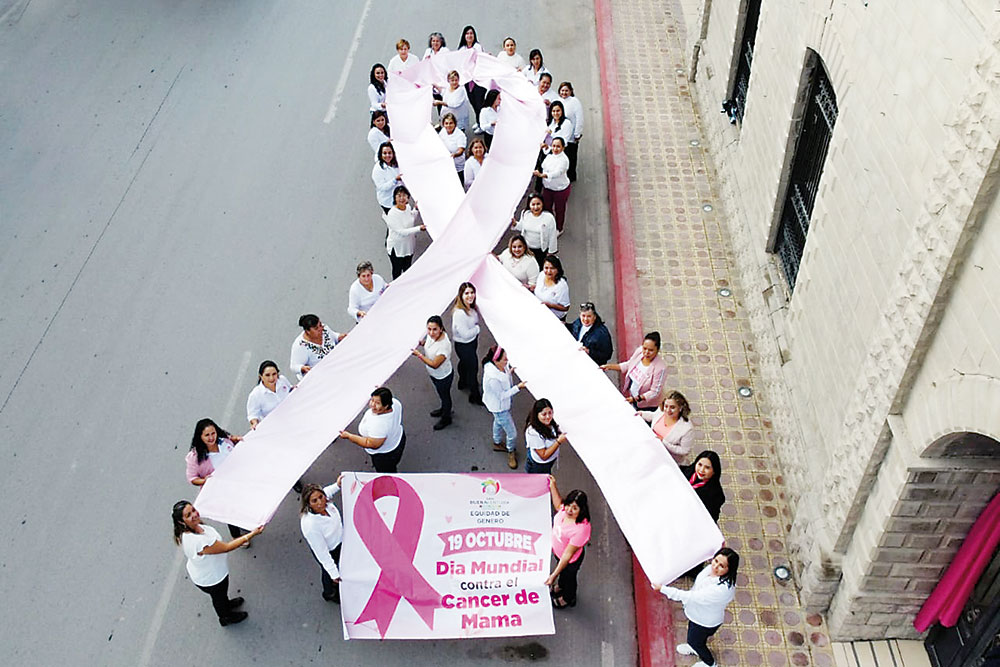 Forman lazo humano rosa - Zócalo