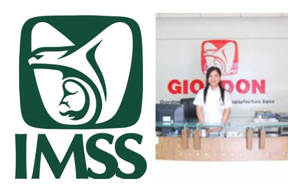 Esta es la empresa china que plagió el logo del IMSS - Zócalo