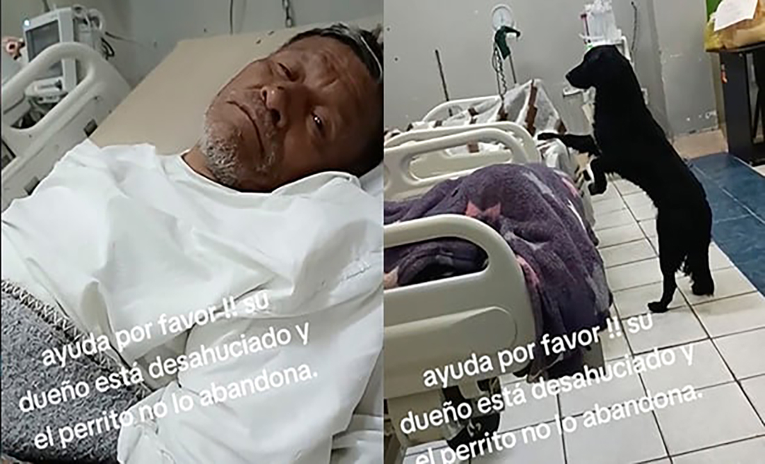 Hombre desahuciado ruega para que adopten a su perrito; ‘lomito’ no lo ...