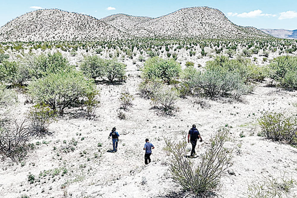 Hay esperanza para Pablo Jared - Zócalo